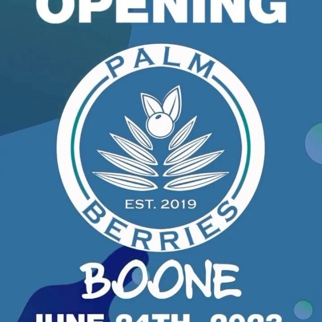 Palm Berries - Acai bowls & blends - Order Online