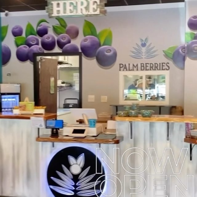 Palm Berries - Acai bowls & blends - Order Online